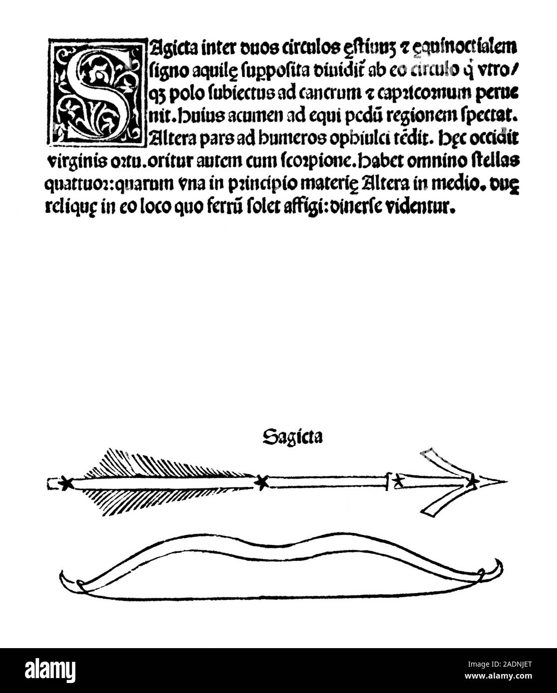 Sagitta constellation, 15th century artwork. Engraving of Sagitta (the ...
