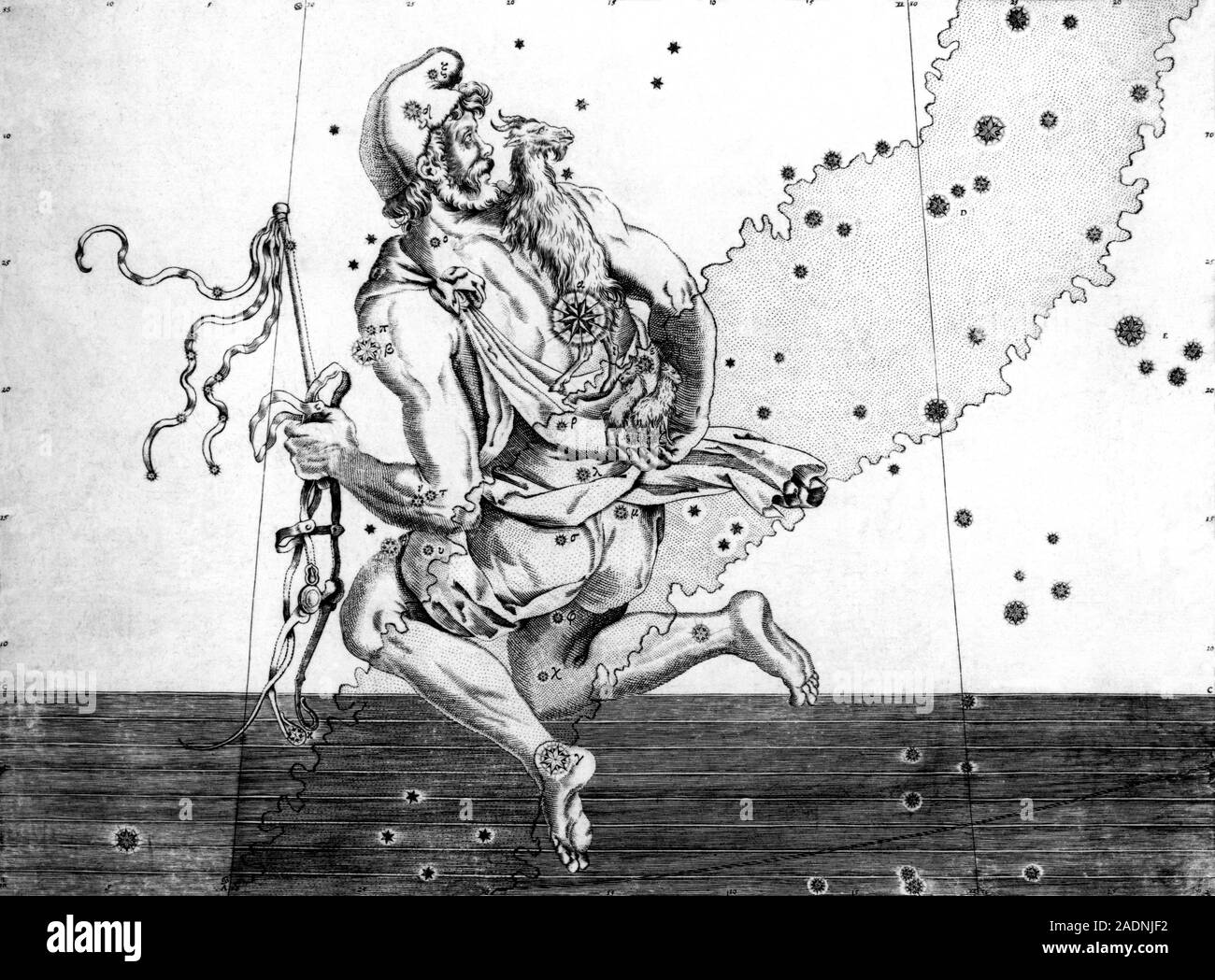 Auriga constellation. 17th century engraving of Auriga (the Charioteer ...
