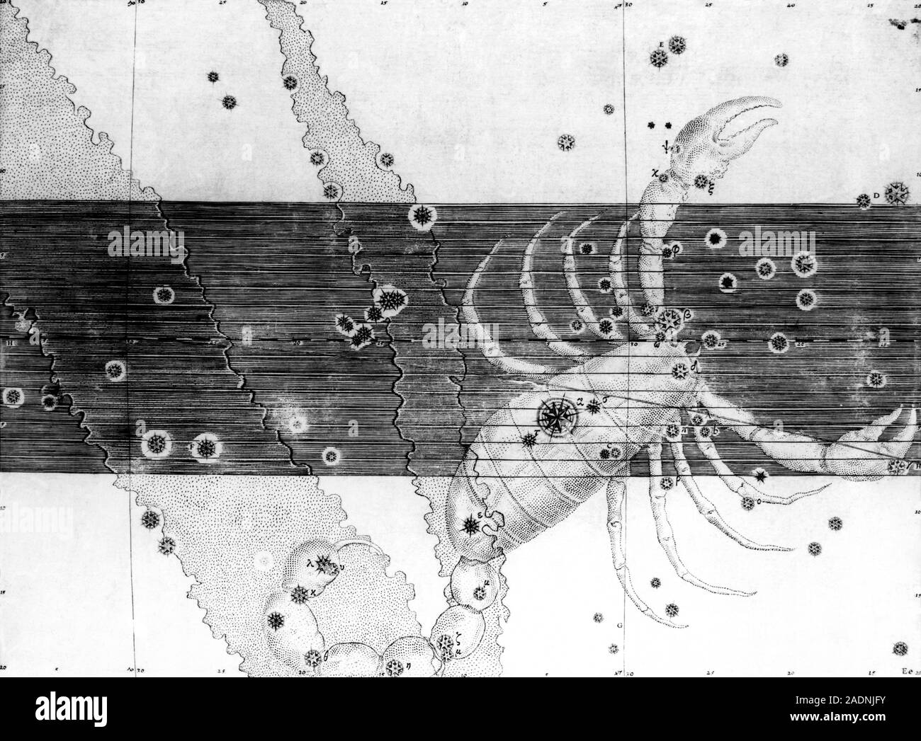 Scorpio constellation. 17th century engraving of Scorpio (the Scorpion ...