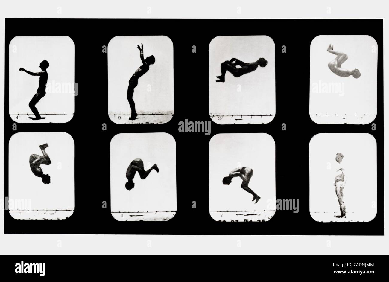 Back somersault. High-speed photographic sequence of an athlete doing a ...