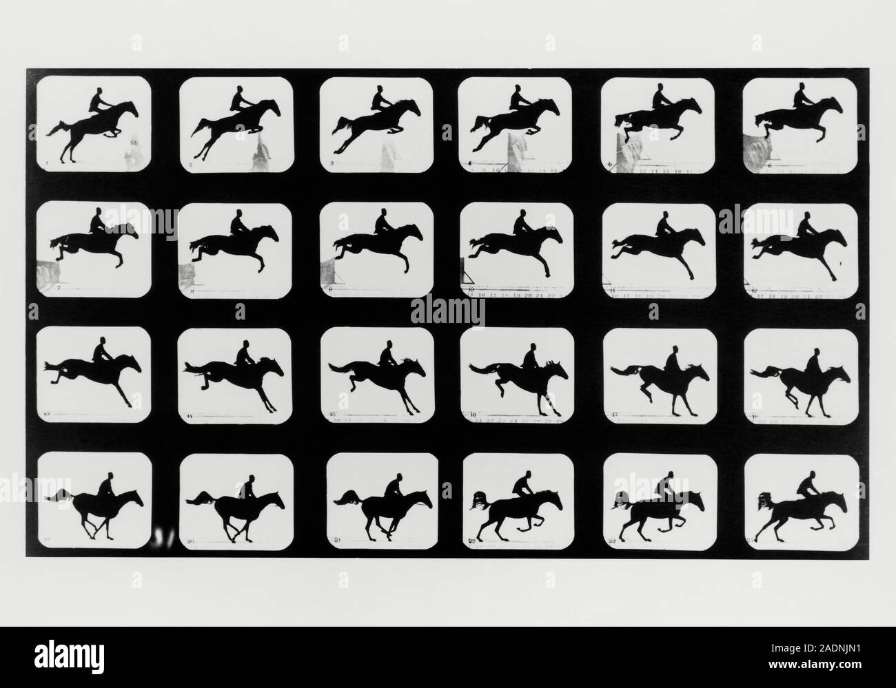 Horse jump. High-speed photographic sequence of a silhouetted rider ...