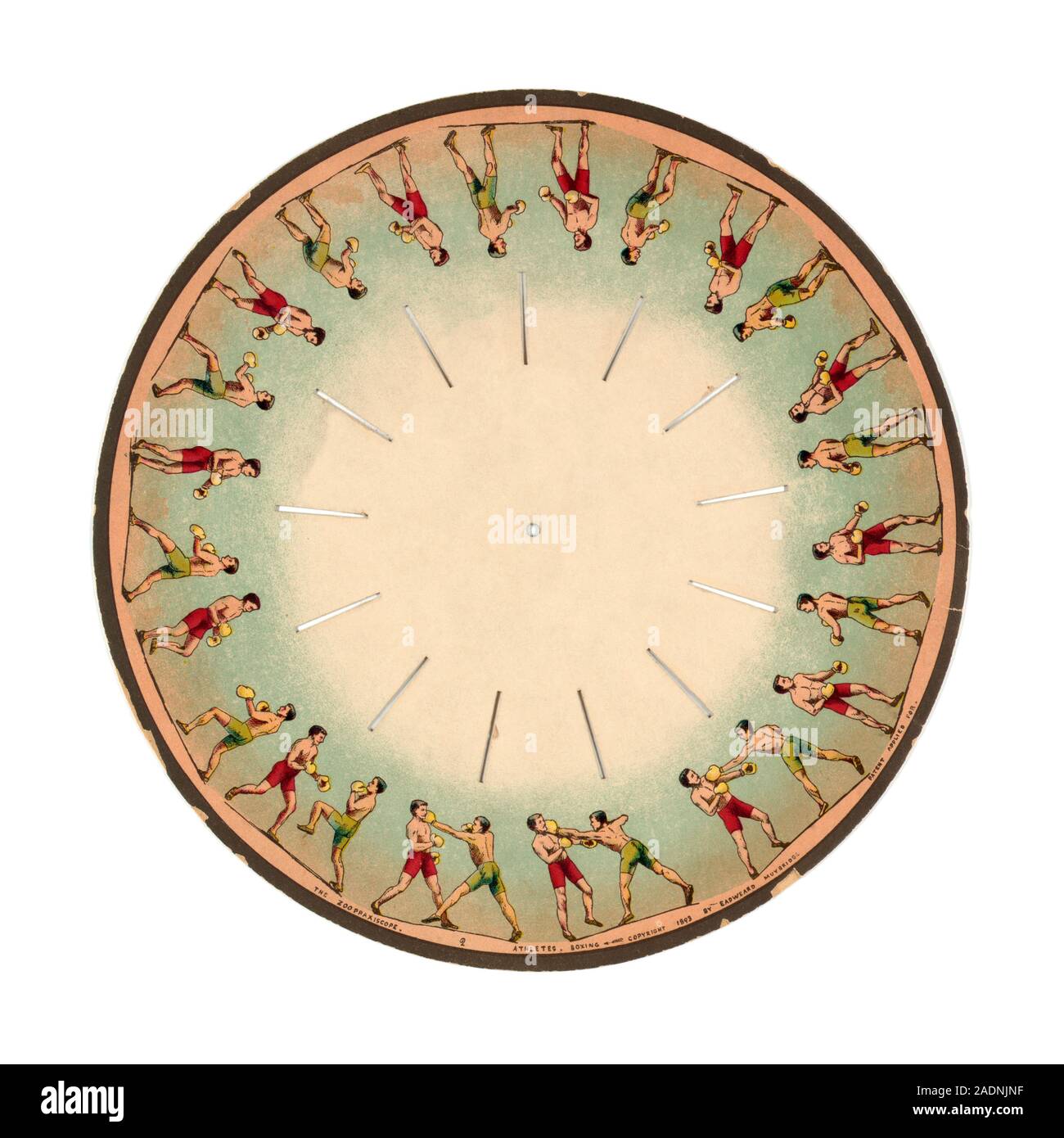 Zoopraxiscope disc of athletes boxing, 1893. The zoopraxiscope was ...
