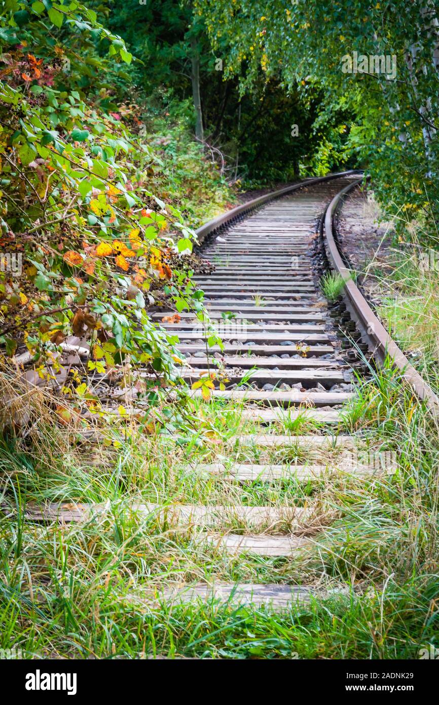 Forgotten rusty train tracks with trees Stock Photo - Alamy