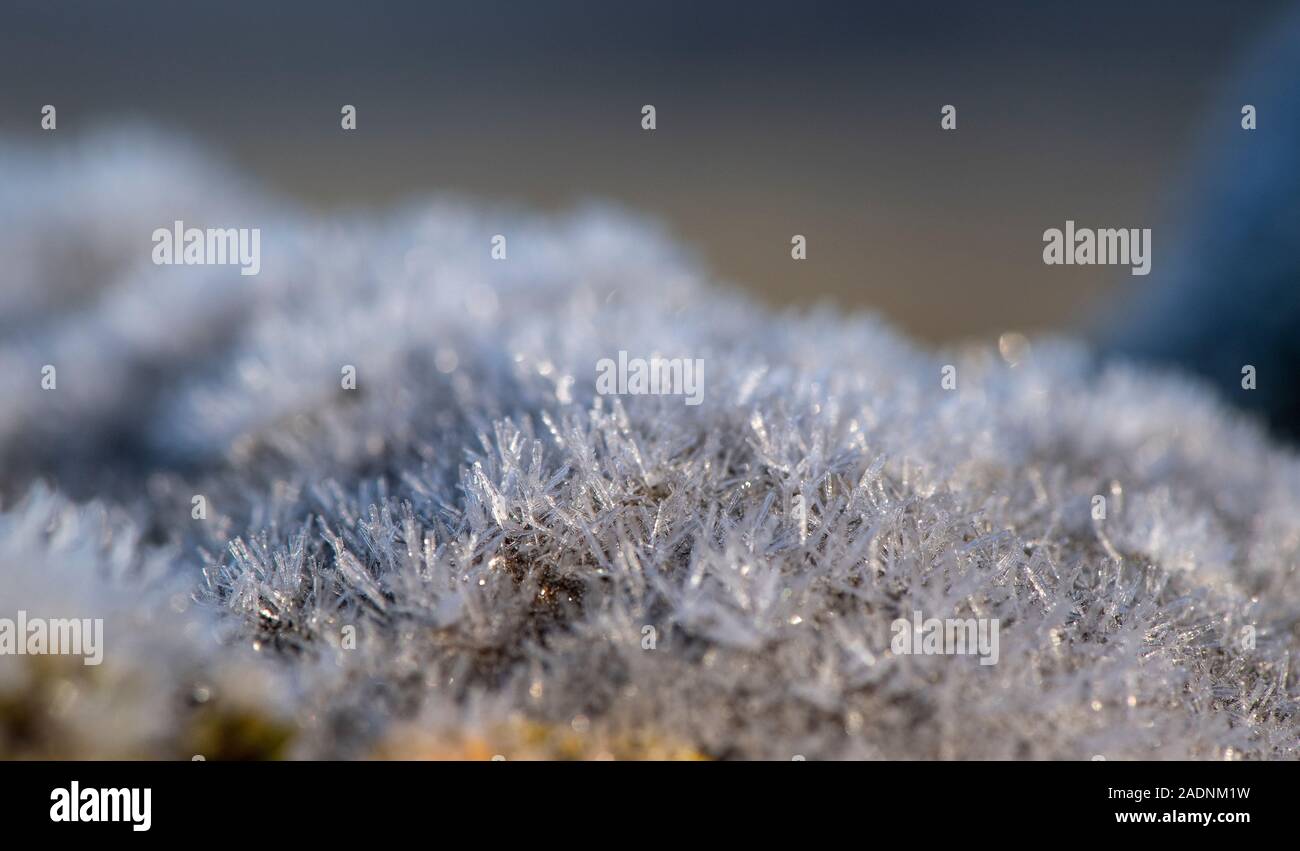 Ice crystals formed on drystone wall after a frosty night. North ...