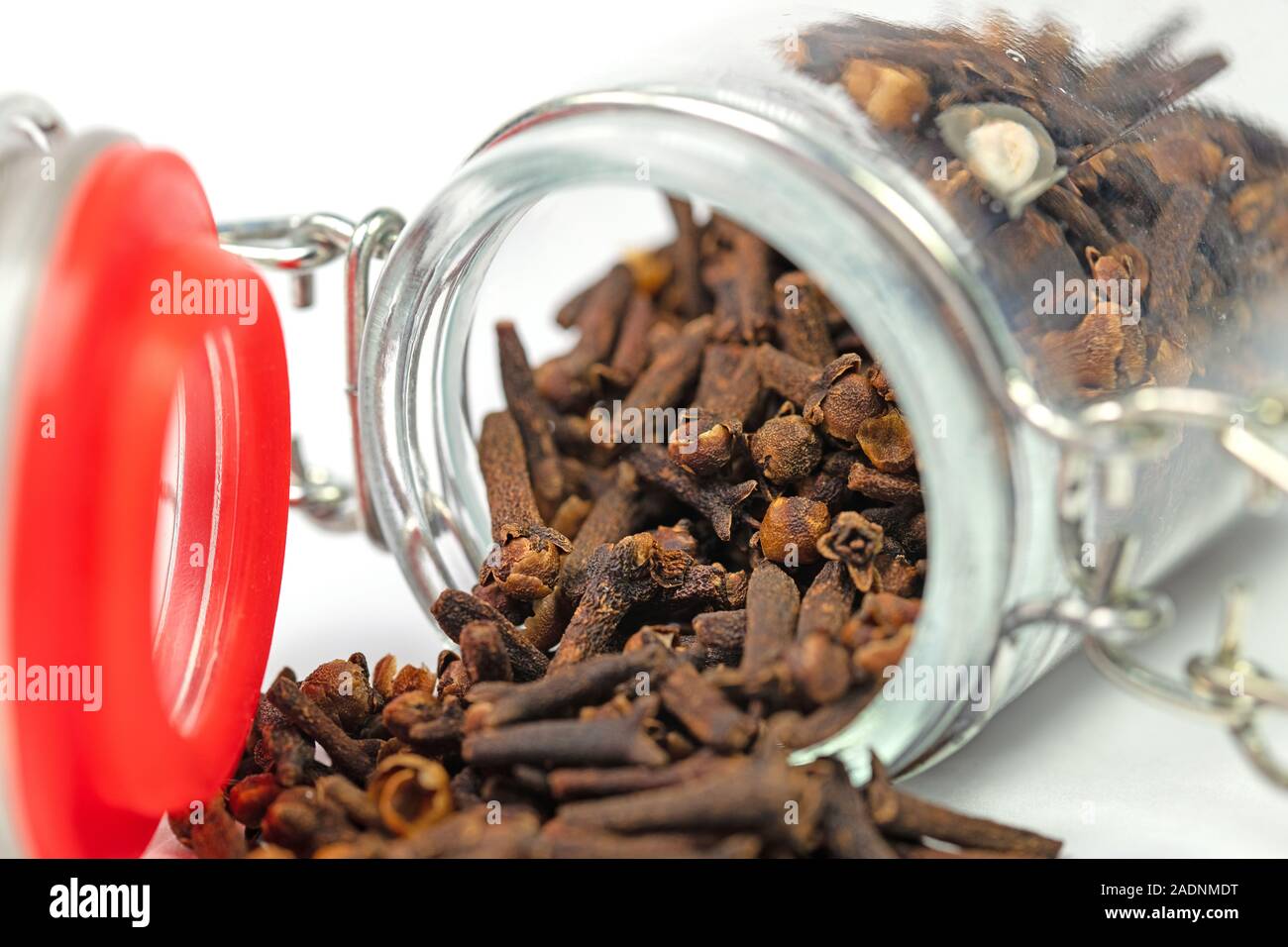Cloves clove tree syzygium aromaticum hi-res stock photography and ...