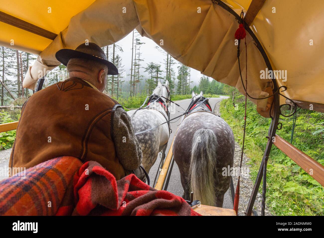 Coachman fabric hi-res stock photography and images - Alamy