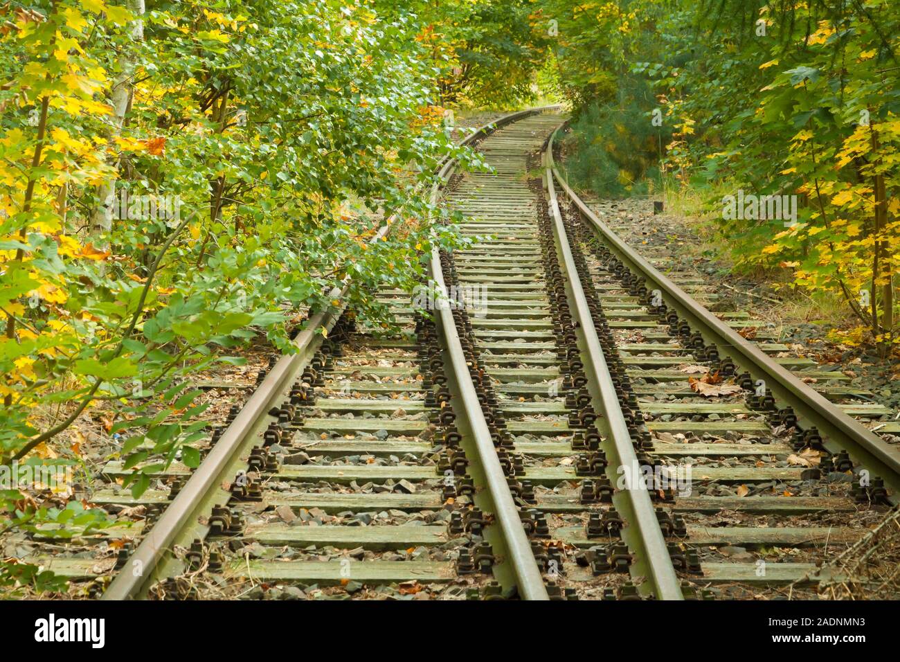 Old rusty forgotten train tracks Stock Photo - Alamy