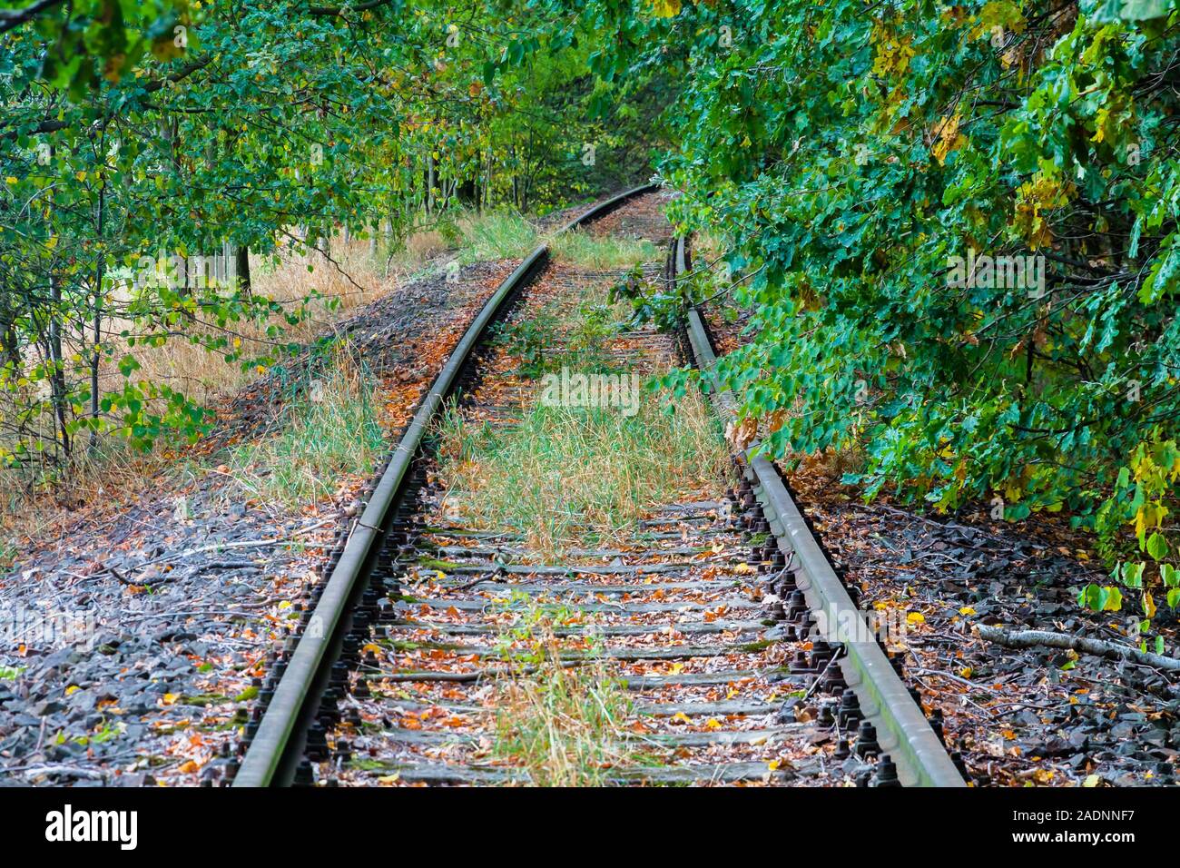 Forgotten train hi-res stock photography and images - Alamy