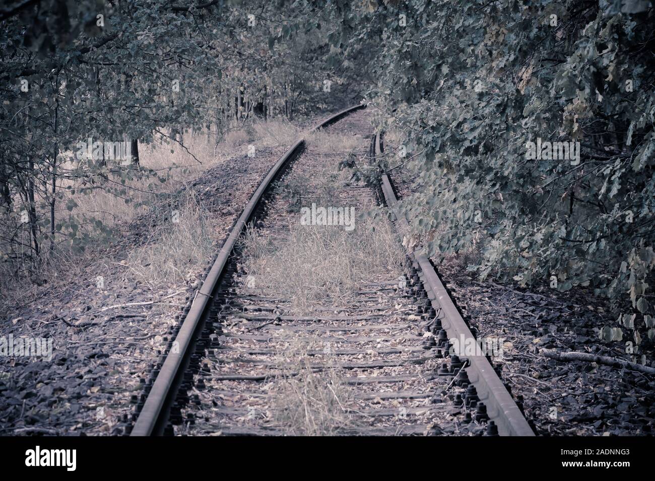Old rusty forgotten train tracks Stock Photo - Alamy