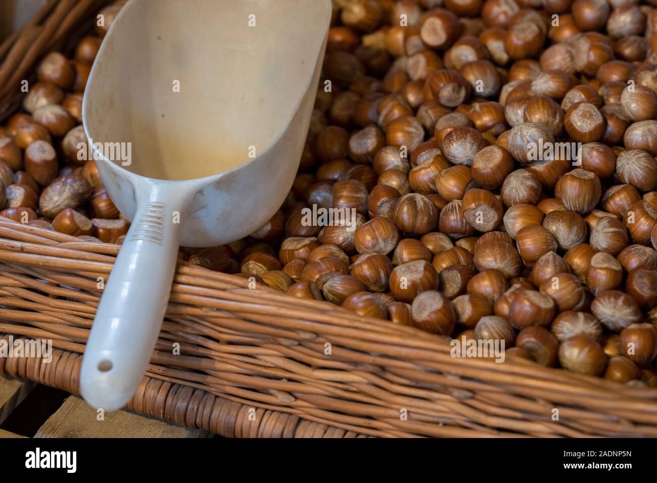 hazelnuts in their shells on sale from a basket with a scoop for ...