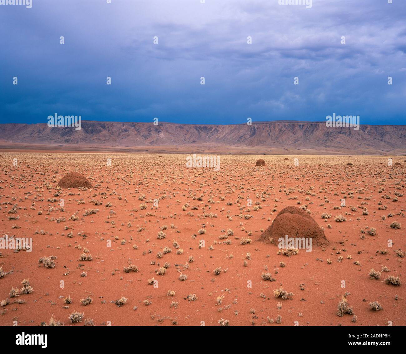 Termite mounds photographed in the red soil of the Rooirand area ...