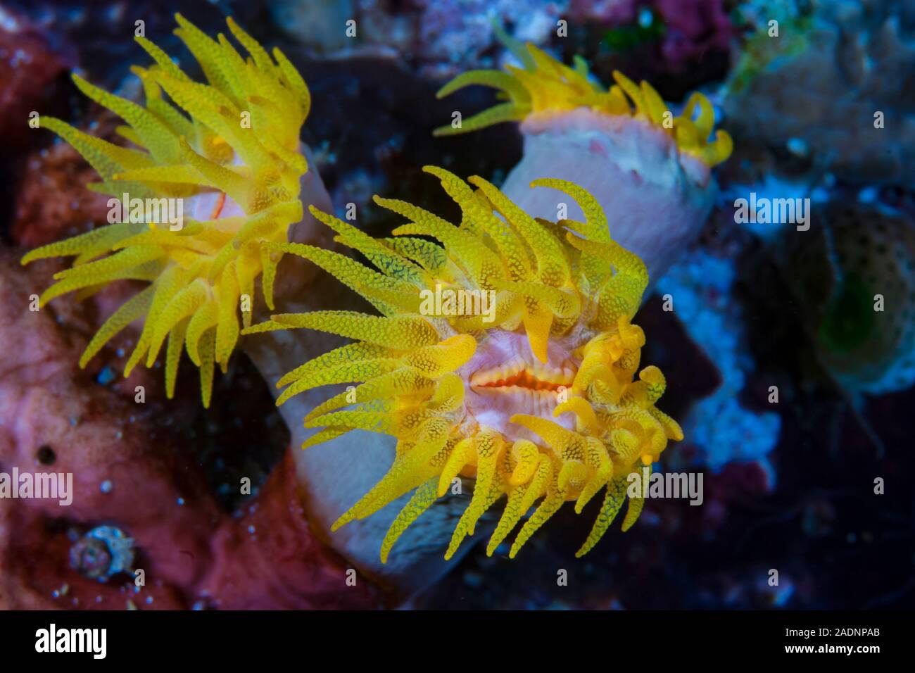 Ap images hi-res stock photography and images - Alamy