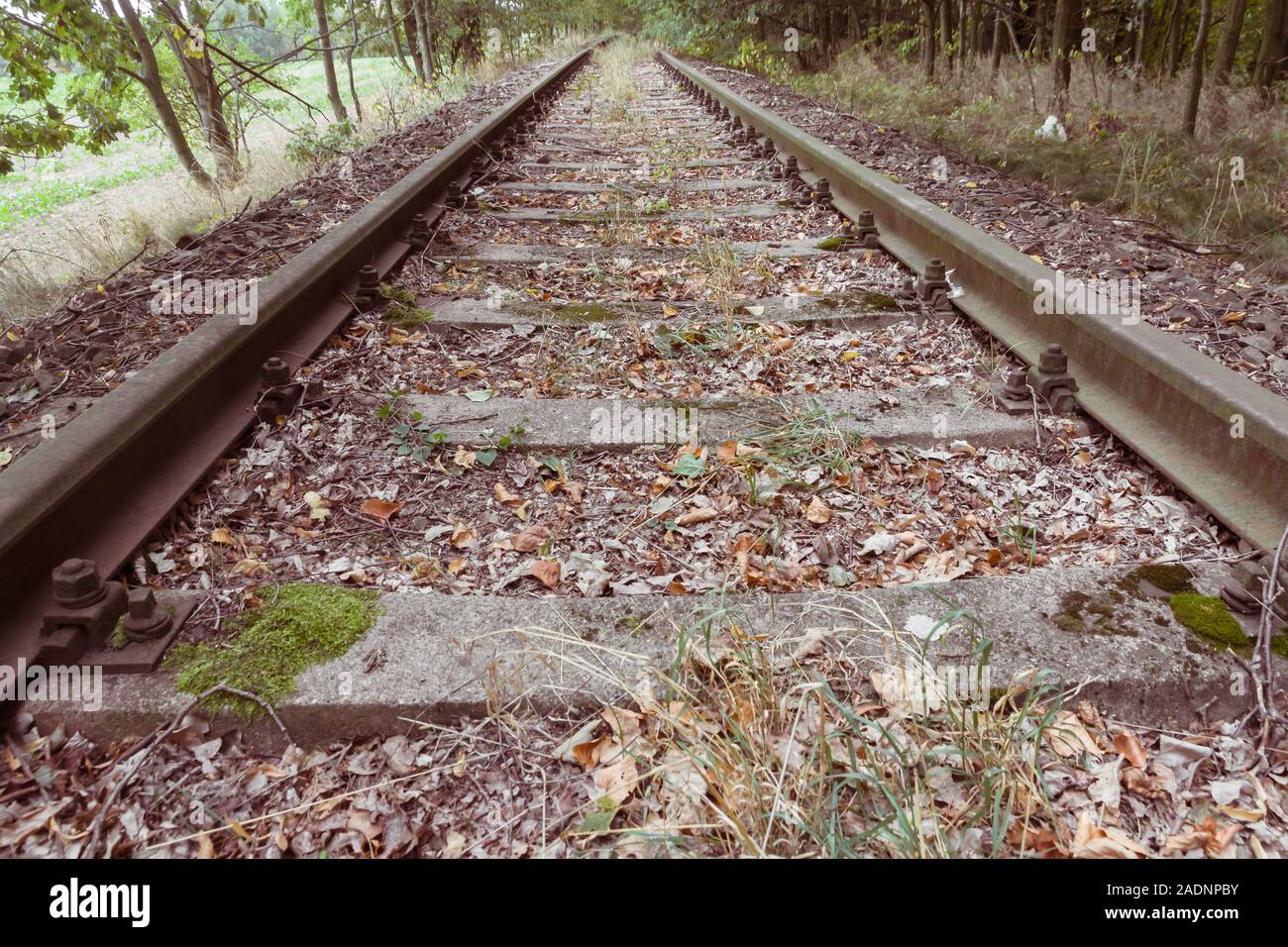 Old rusty forgotten train tracks Stock Photo - Alamy