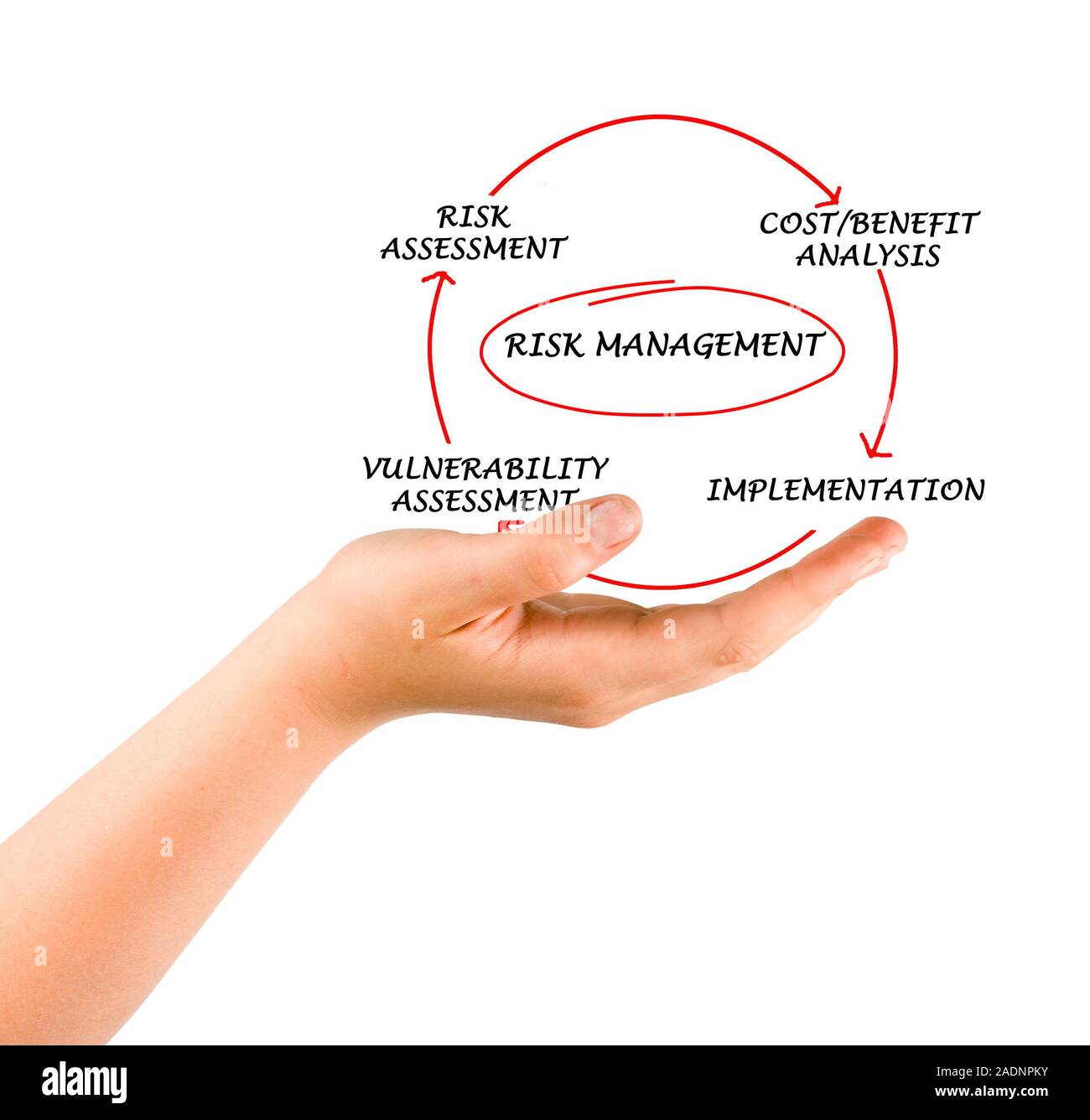 Diagram of risk management Stock Photo - Alamy