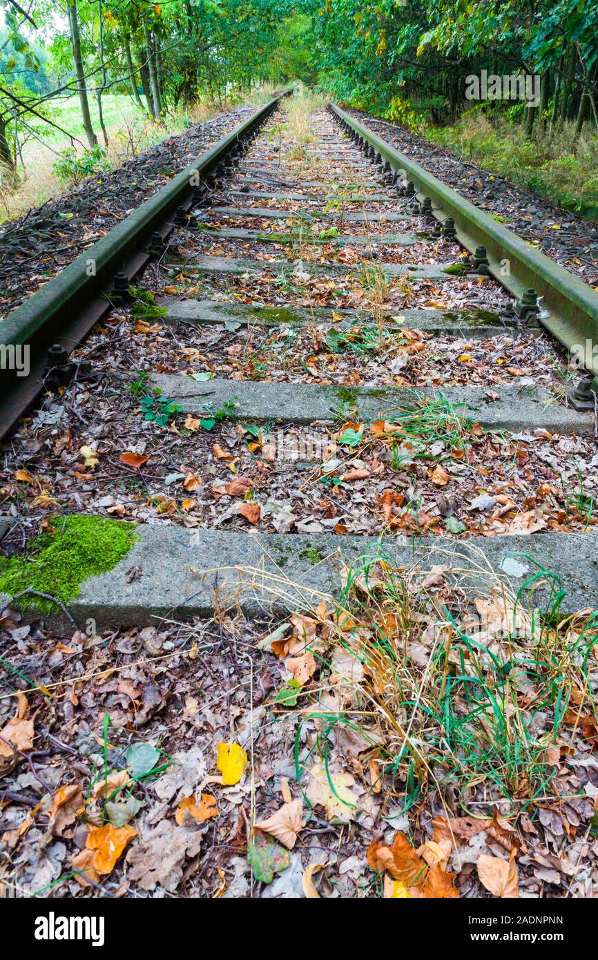 Old rusty forgotten train tracks Stock Photo - Alamy