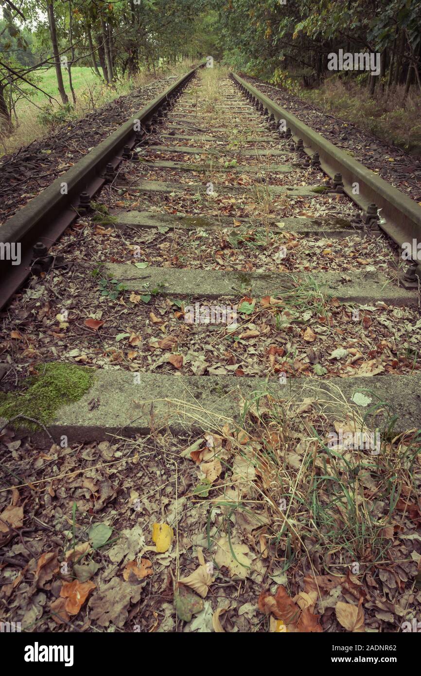 Old rusty forgotten train tracks Stock Photo - Alamy