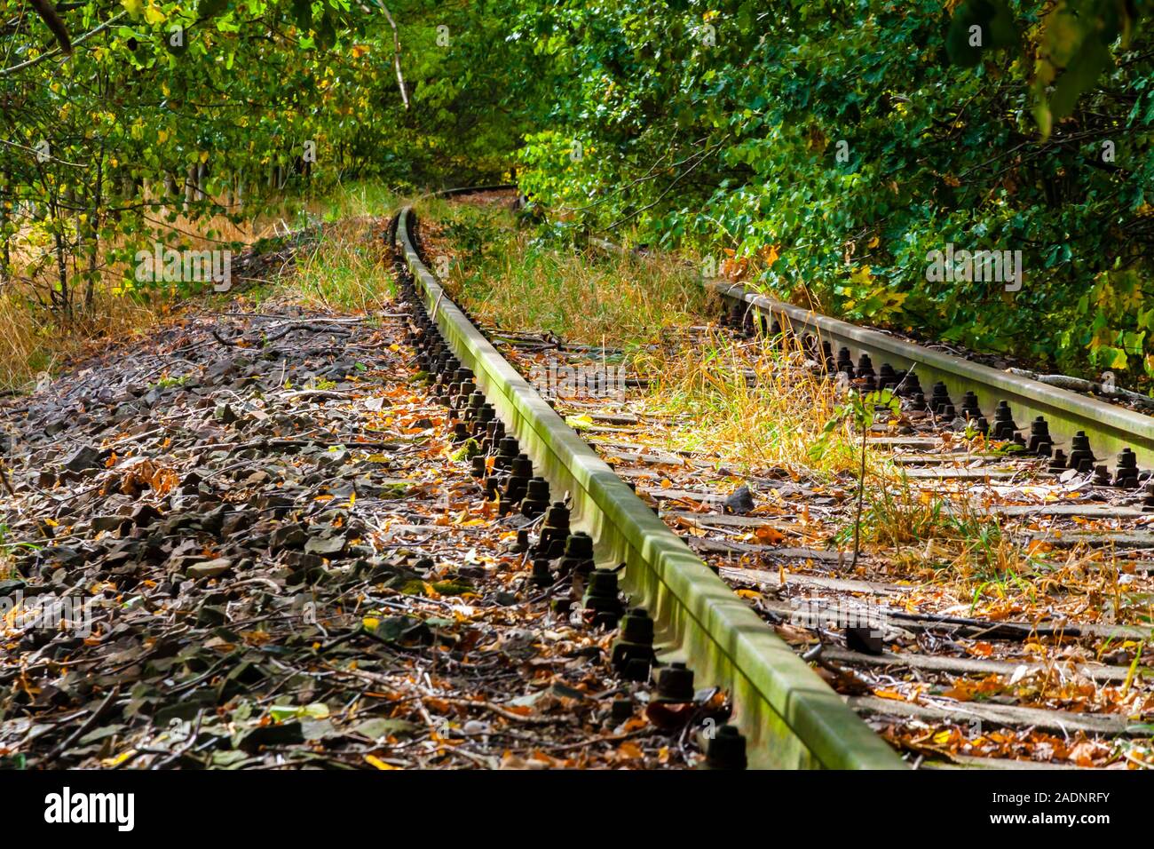 Old rusty forgotten train tracks Stock Photo - Alamy