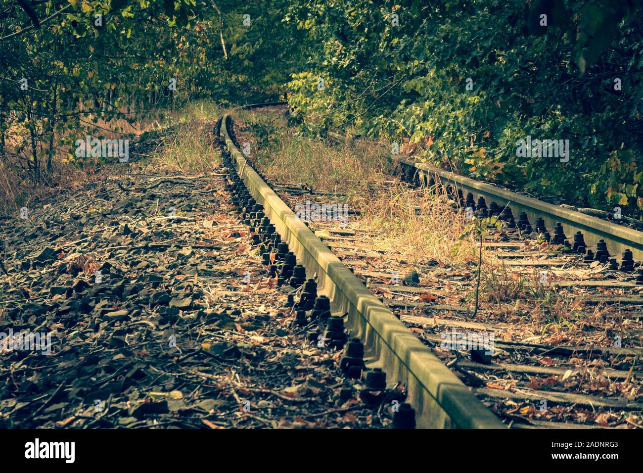 Old rusty forgotten train tracks Stock Photo - Alamy