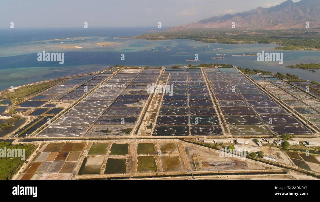 shrimp farm, prawn farming with with aerator pump oxygenation water ...
