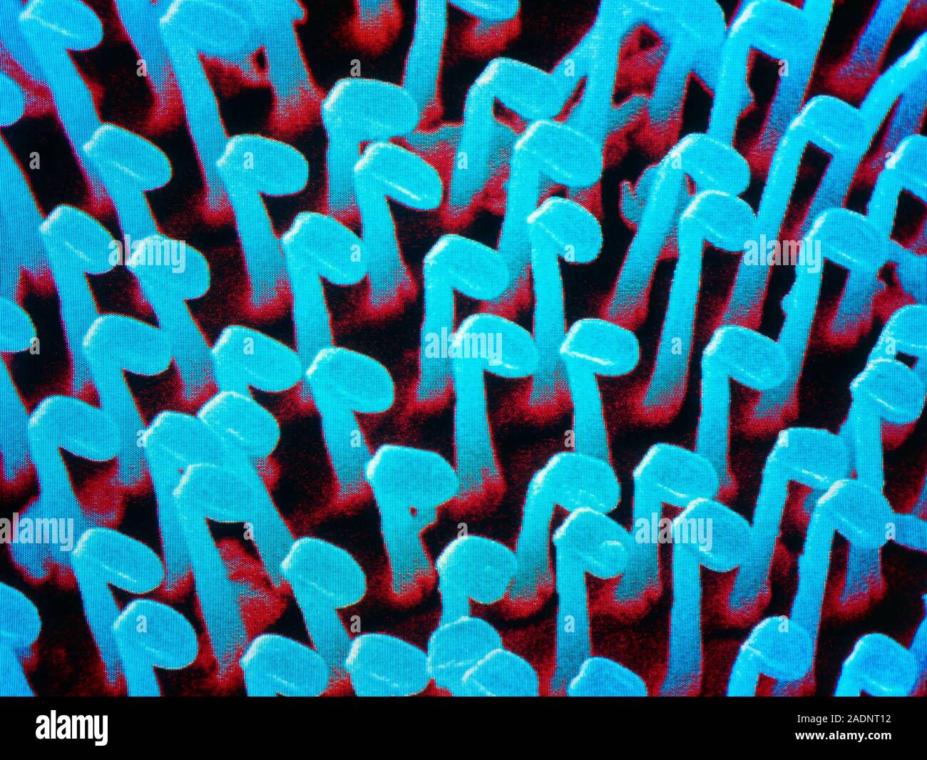 Foot pad of a fly. Coloured scanning electron micrograph (SEM) of the ...