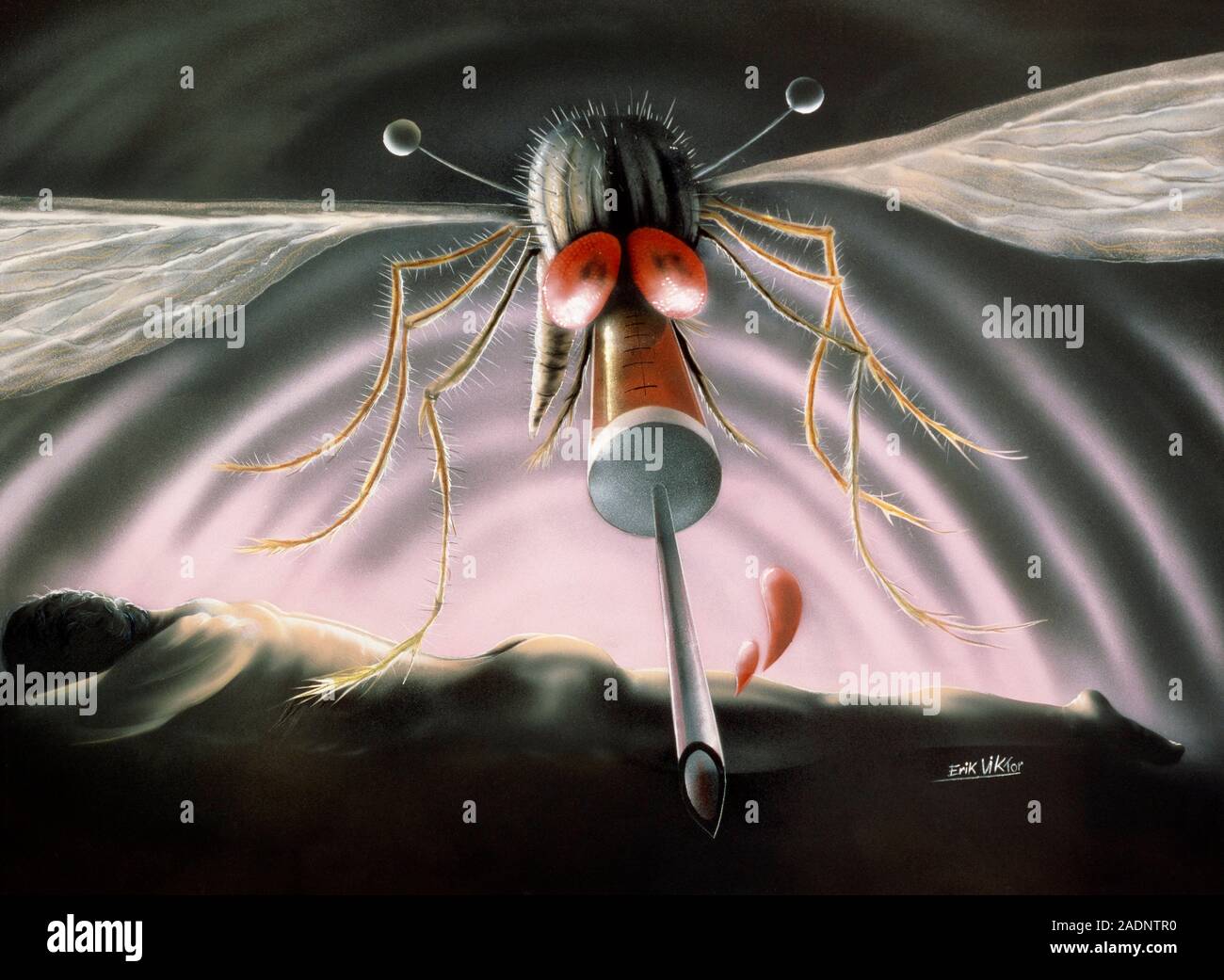 Mosquito disease-transmission. Abstract artwork showing a mosquito with ...