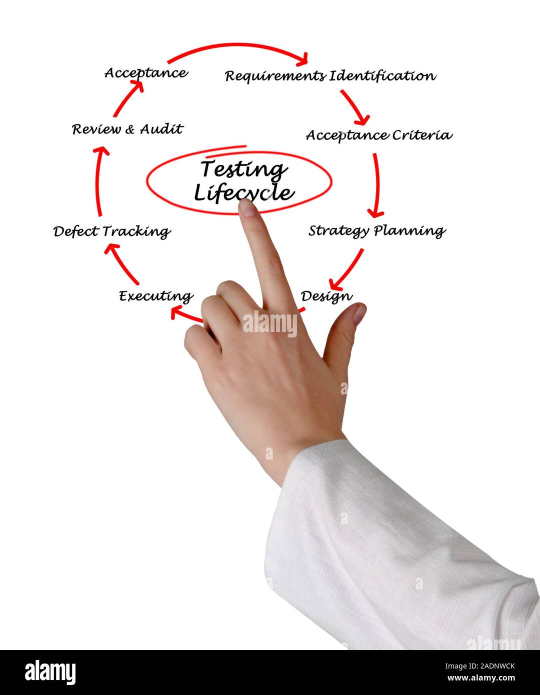 Testing Life Cycle Stock Photo - Alamy
