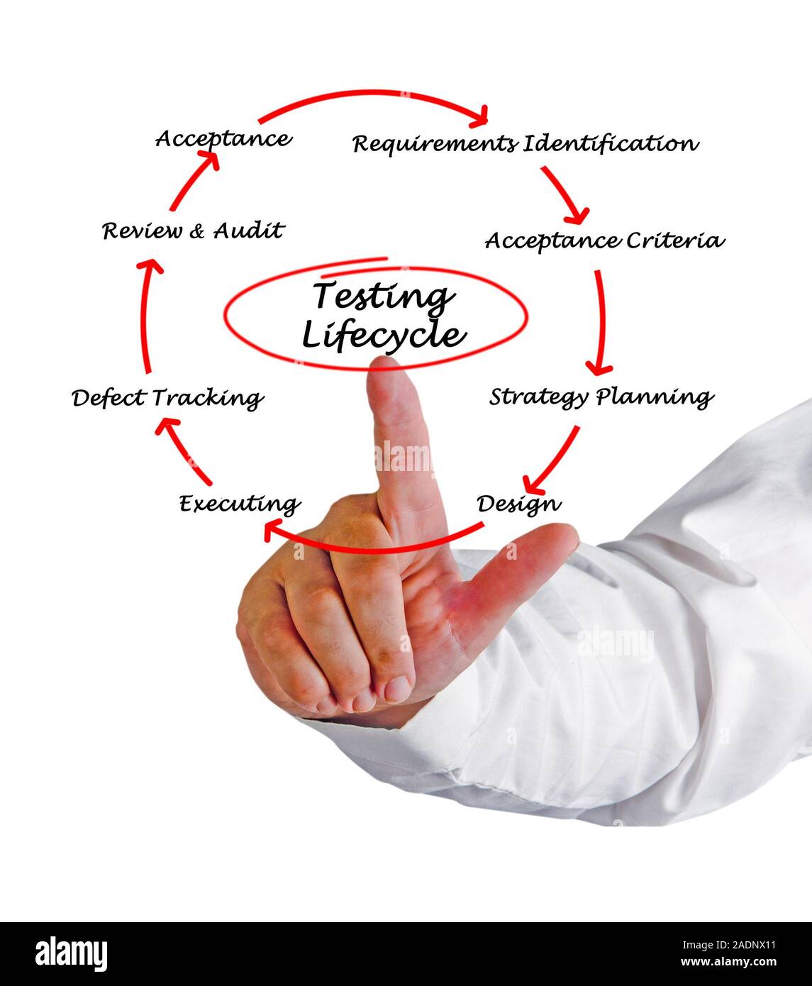 Testing Life Cycle Stock Photo - Alamy