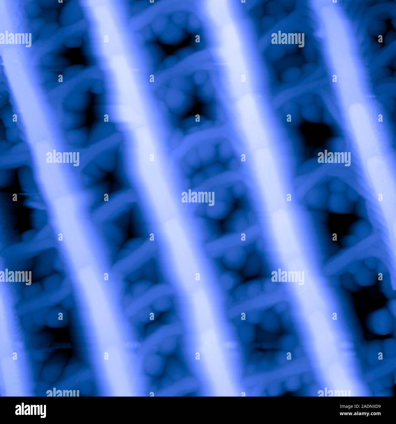 Butterfly wing surface. Coloured atomic force micrograph (AFM) of the ...