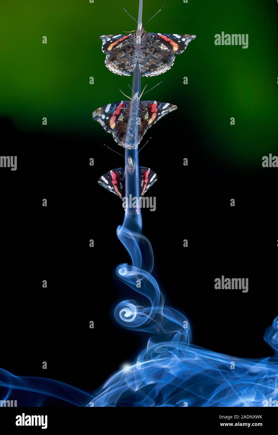 Downdraft. High-speed photograph reconstructing the downward vortex ...
