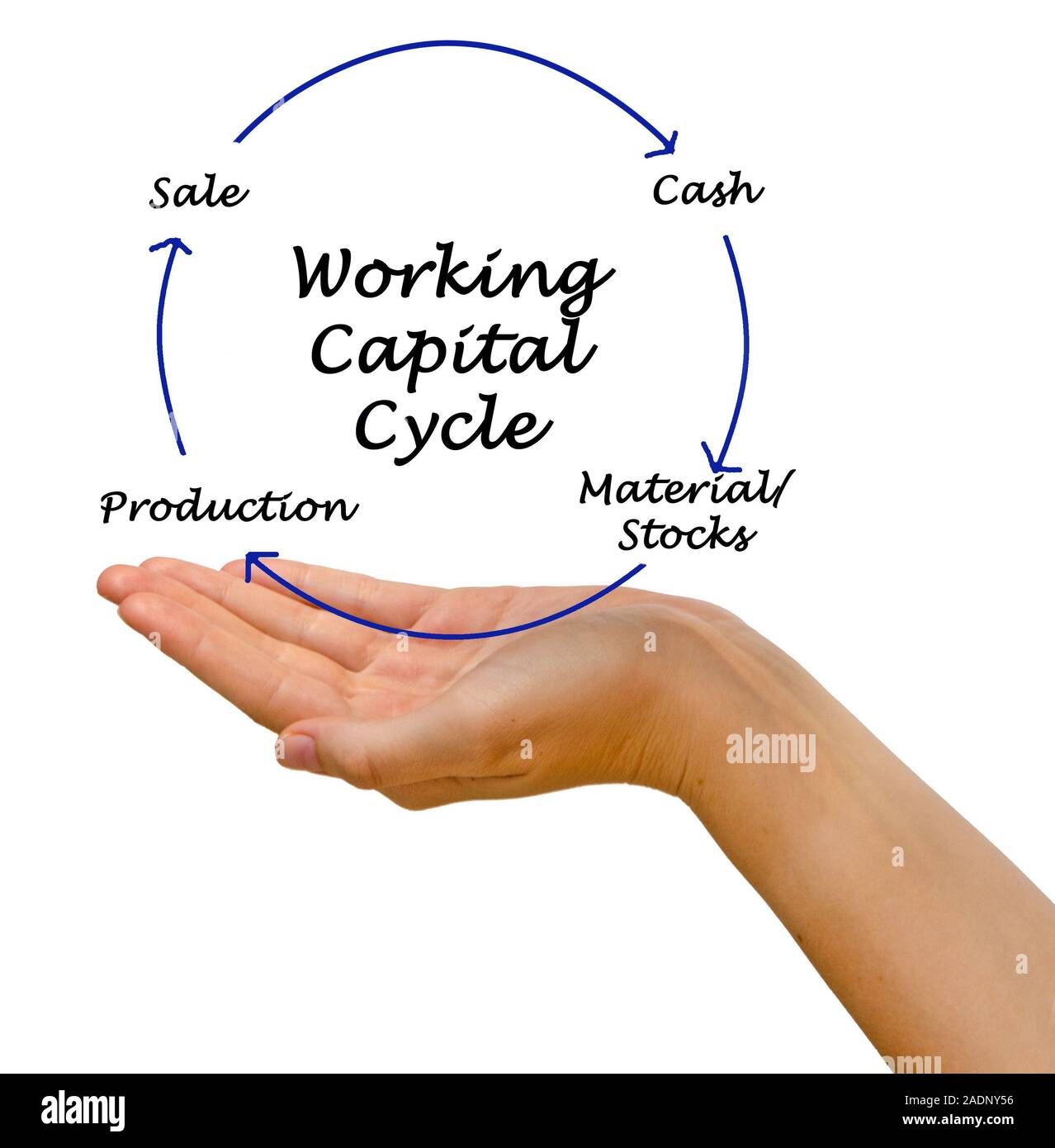 Working Capital Cycle Stock Photo - Alamy