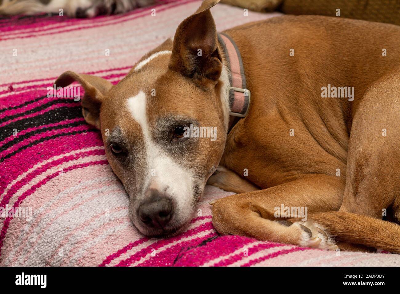 Old rescue hi-res stock photography and images - Alamy