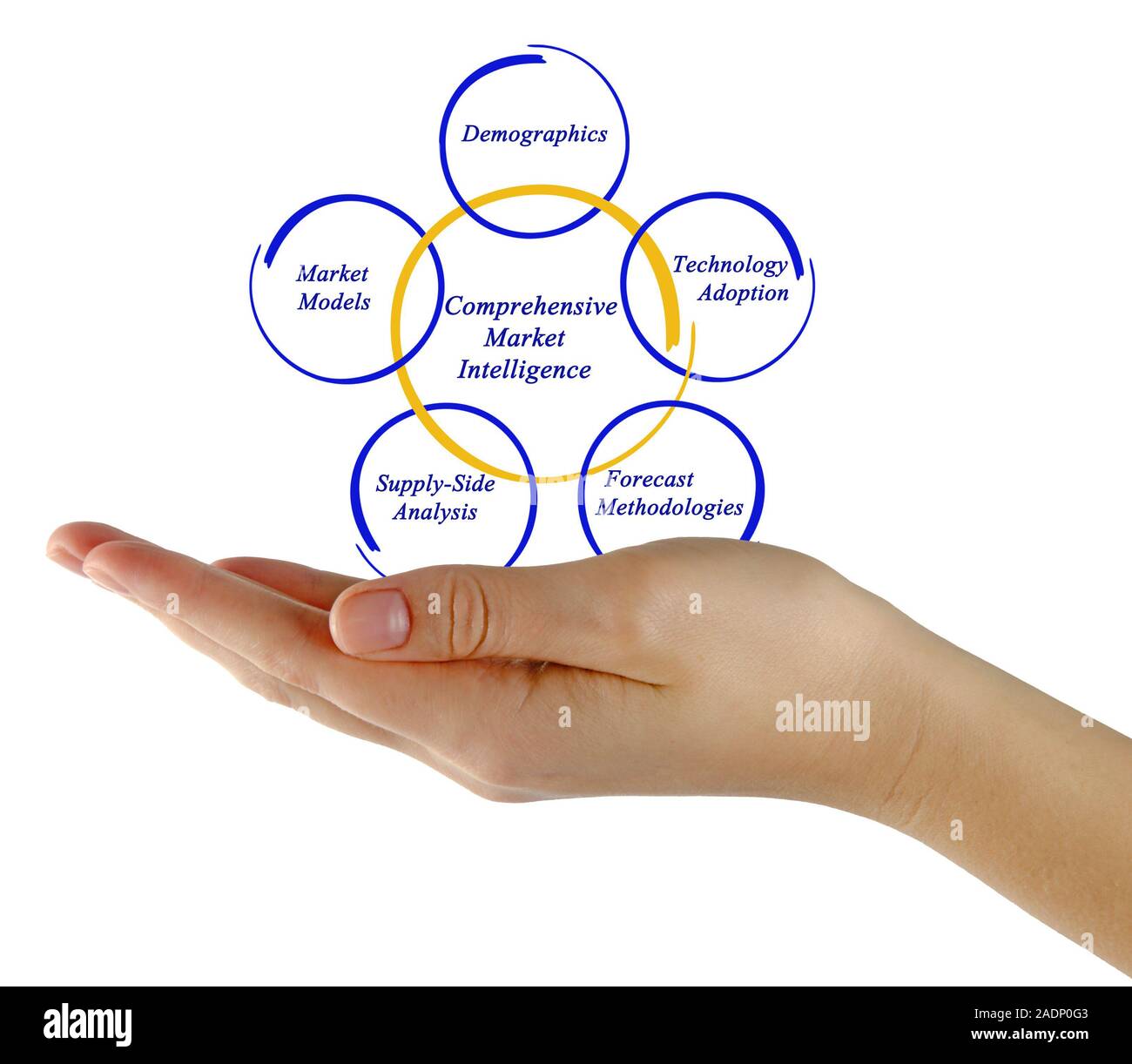 Diagram of Comprehensive Market Intelligence Stock Photo - Alamy
