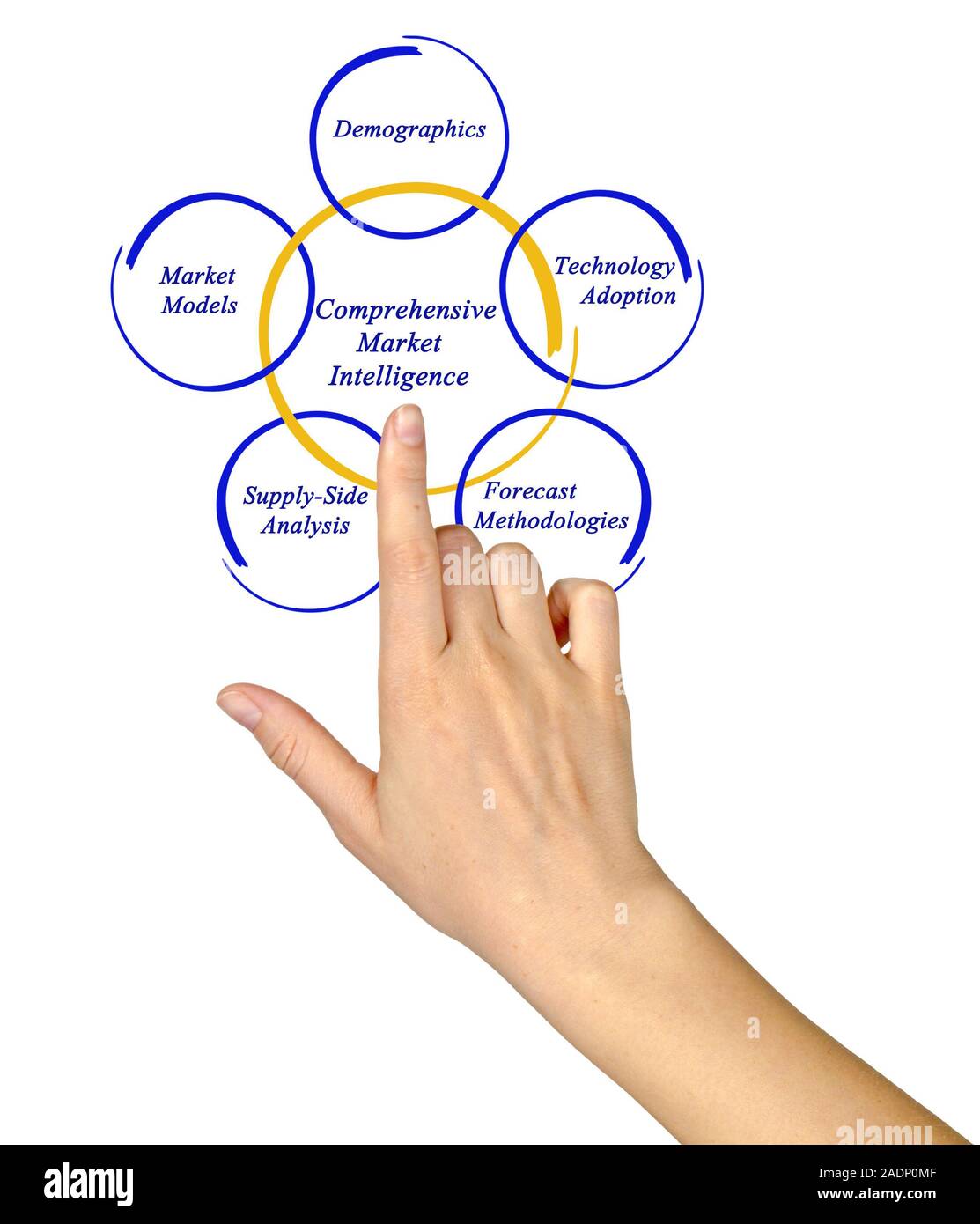 Diagram of Comprehensive Market Intelligence Stock Photo - Alamy