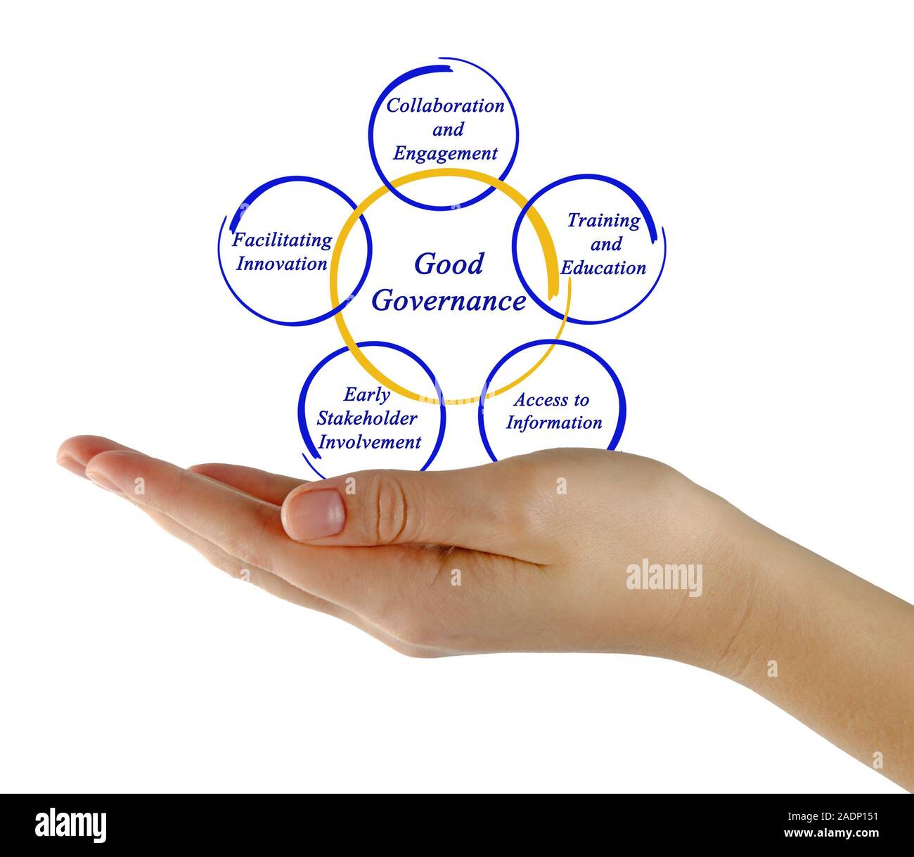 Stakeholder involvement hi-res stock photography and images - Alamy