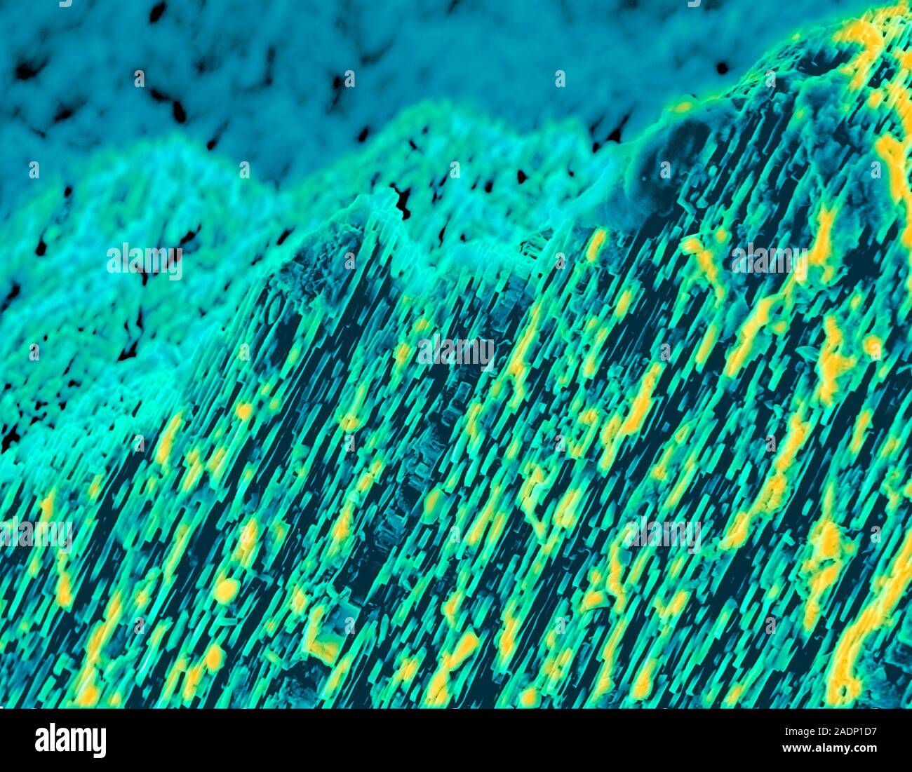 Mother of pearl. Coloured scanning electron micrograph (SEM) of calcite ...