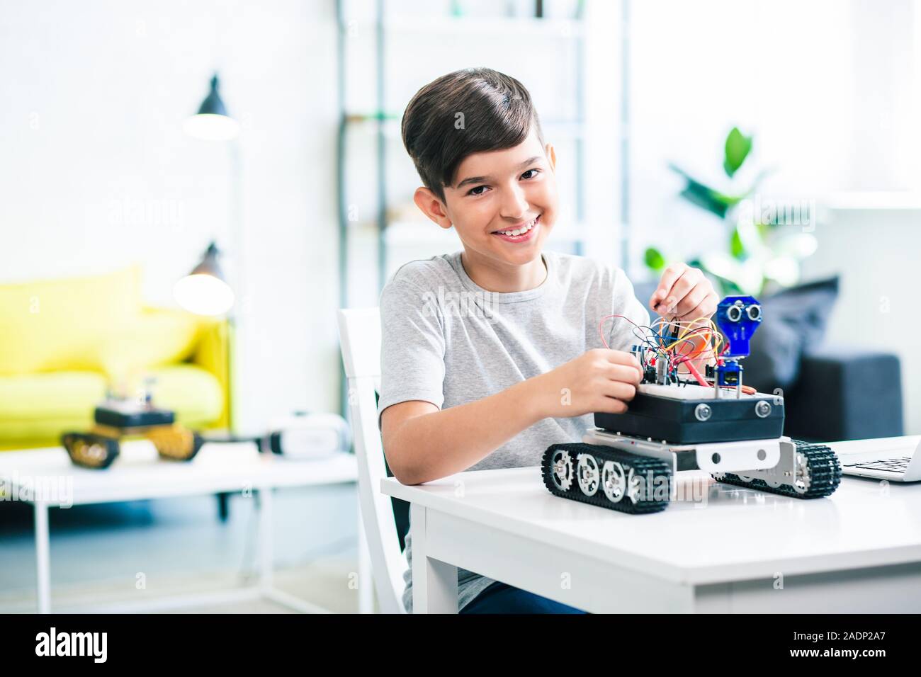 Lab at play hi-res stock photography and images - Alamy