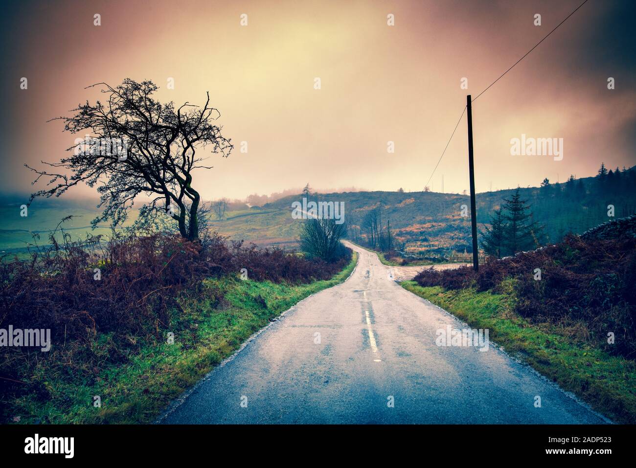Wet damp miserable hi-res stock photography and images - Alamy