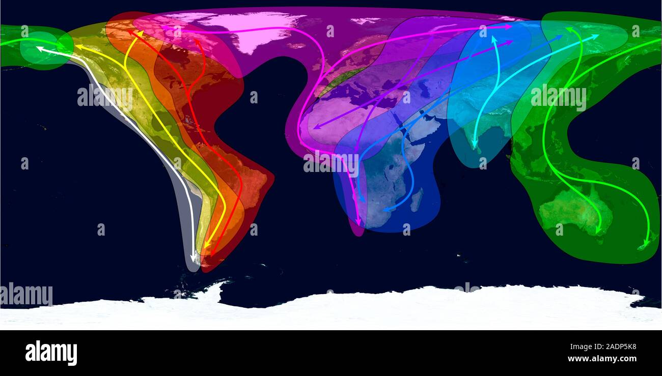 Worldwide bird migration routes superimposed on a satellite map of the ...