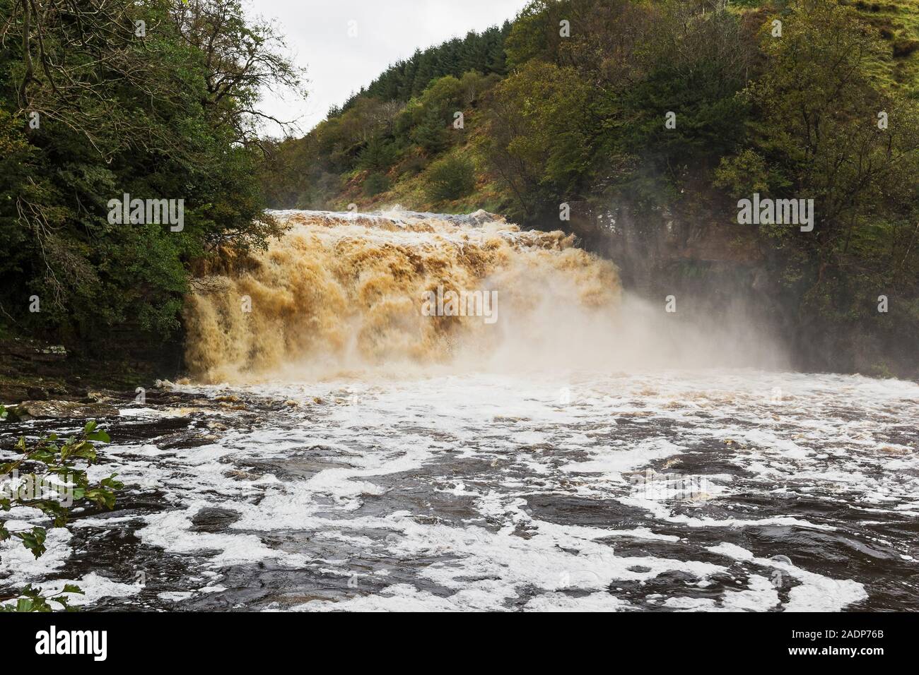 Linn border hi-res stock photography and images - Alamy