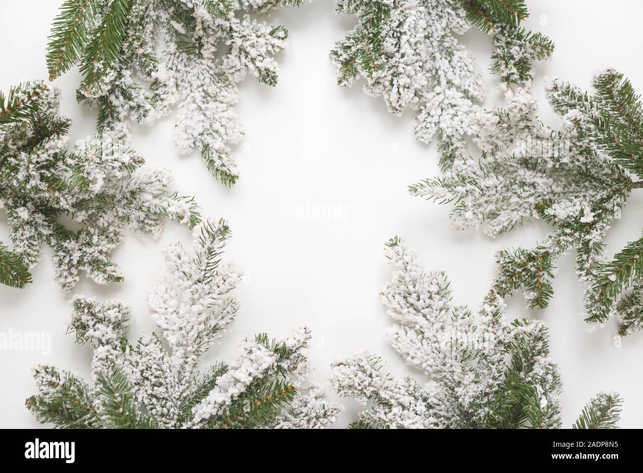 Christmas still life. Spruce branches form a frame with white copespace ...