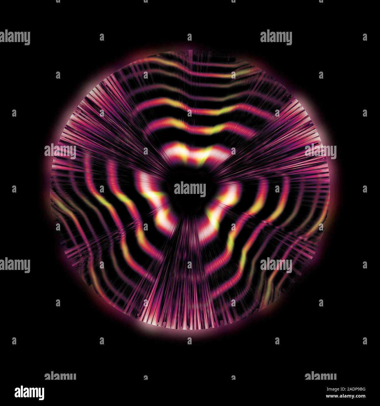 Bird song, wavelet graph. This image was produced by converting the ...