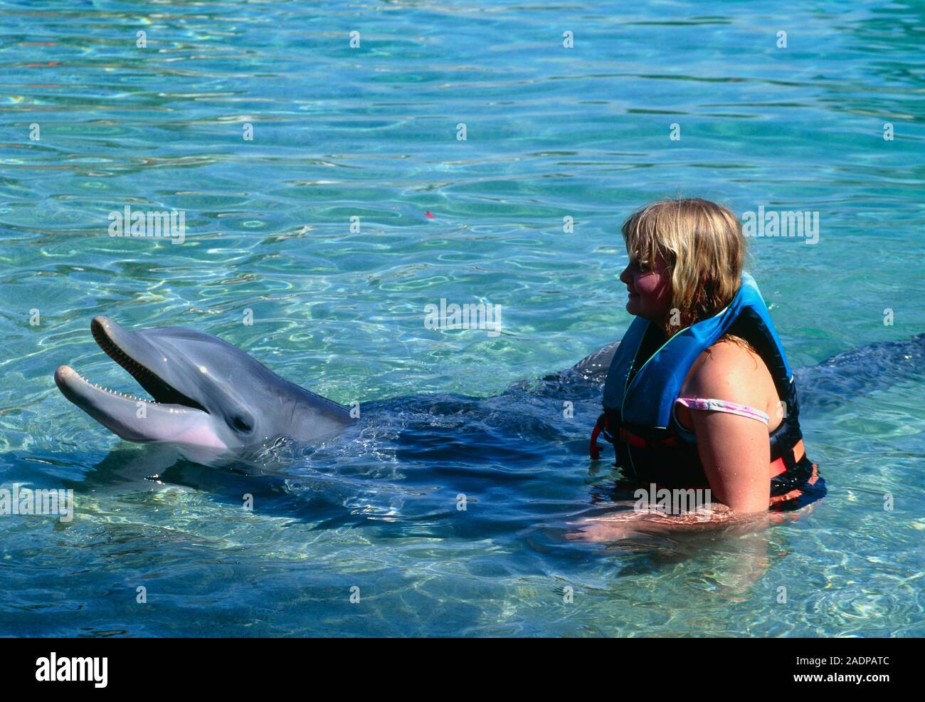 MODEL RELEASED. Dolphin education. Woman swimming with a dolphin as ...