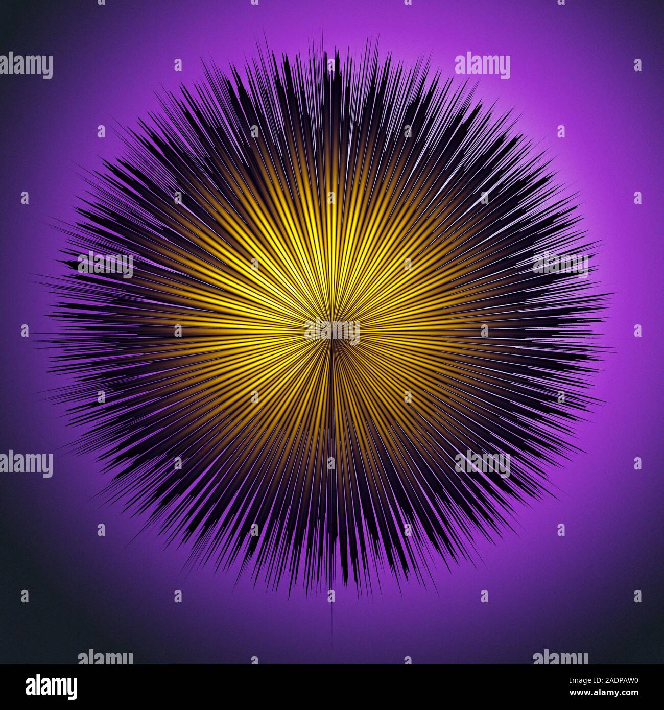 Humpback whale (Megaptera novaeangliae) song, wavelet graph. This image ...