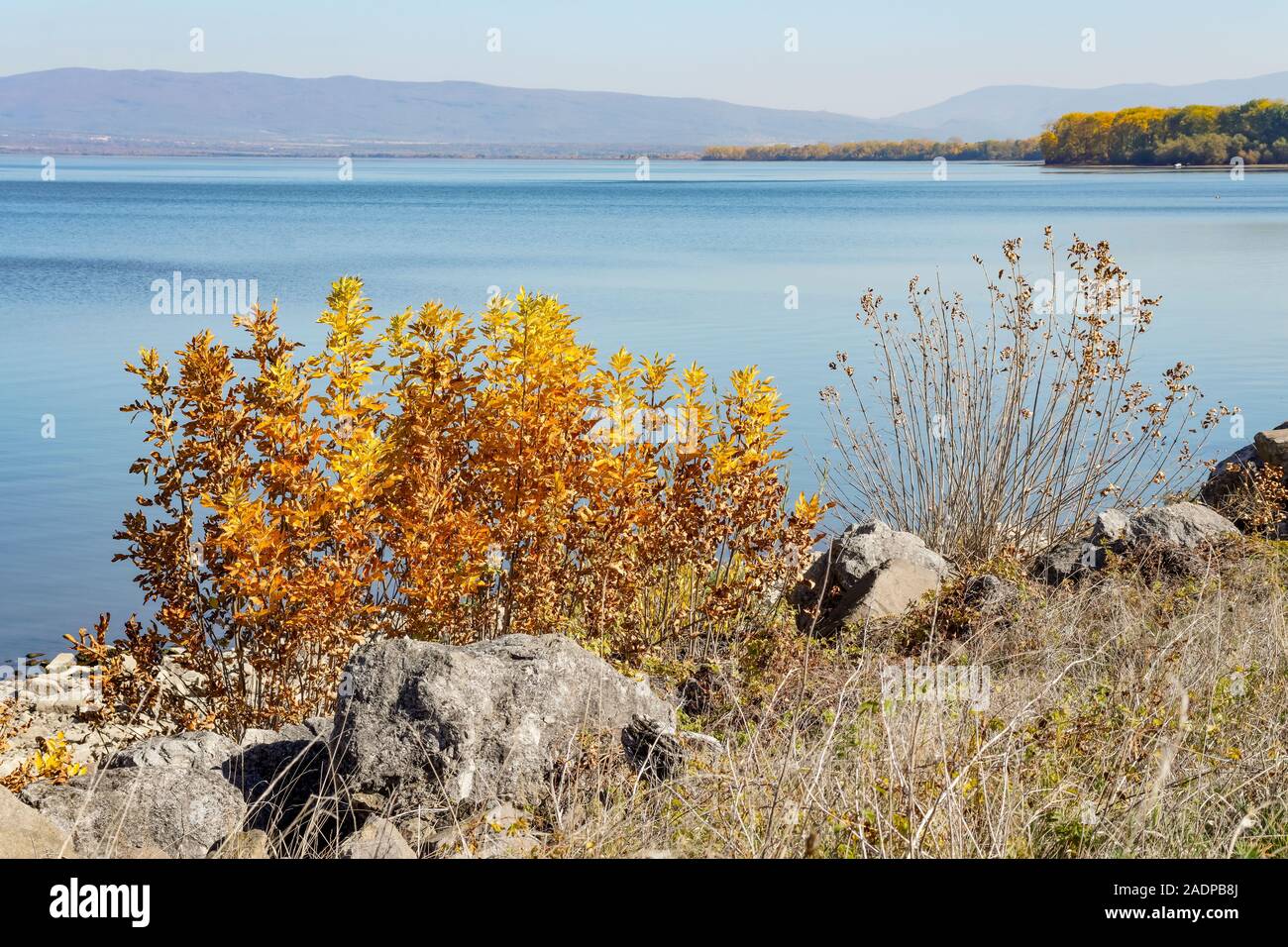 Zemplinska sirava hi-res stock photography and images - Alamy