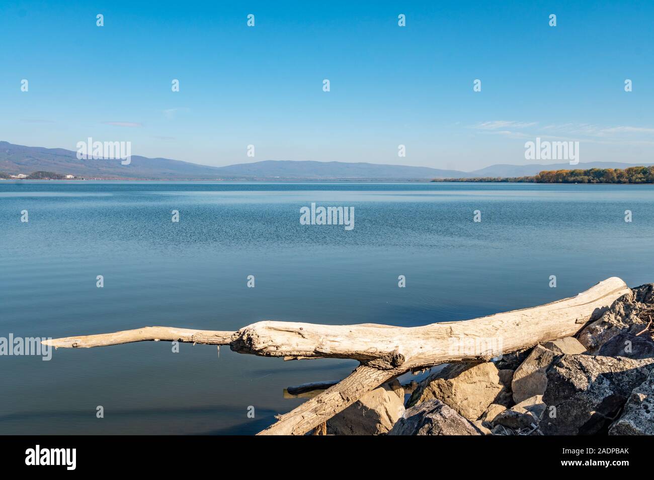 Zemplinska sirava hi-res stock photography and images - Alamy