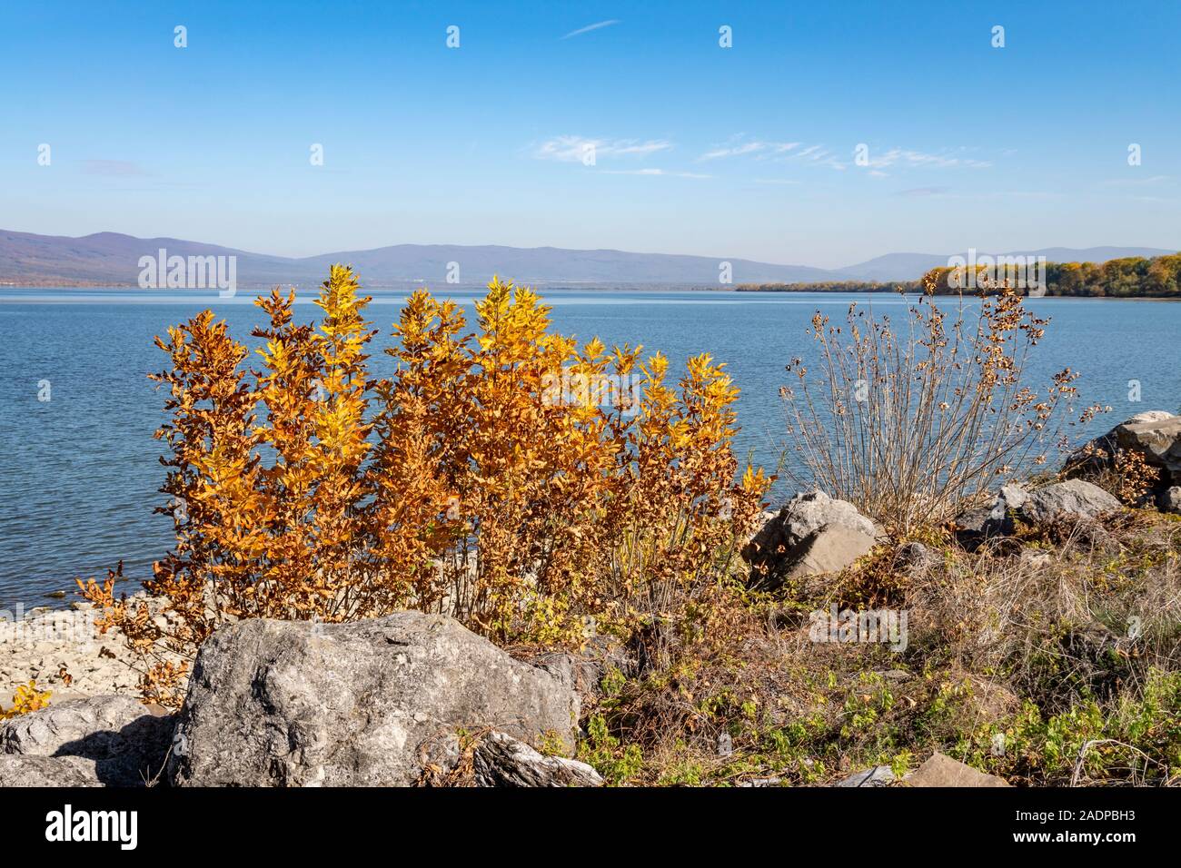 Zemplinska Sirava High Resolution Stock Photography and Images - Alamy