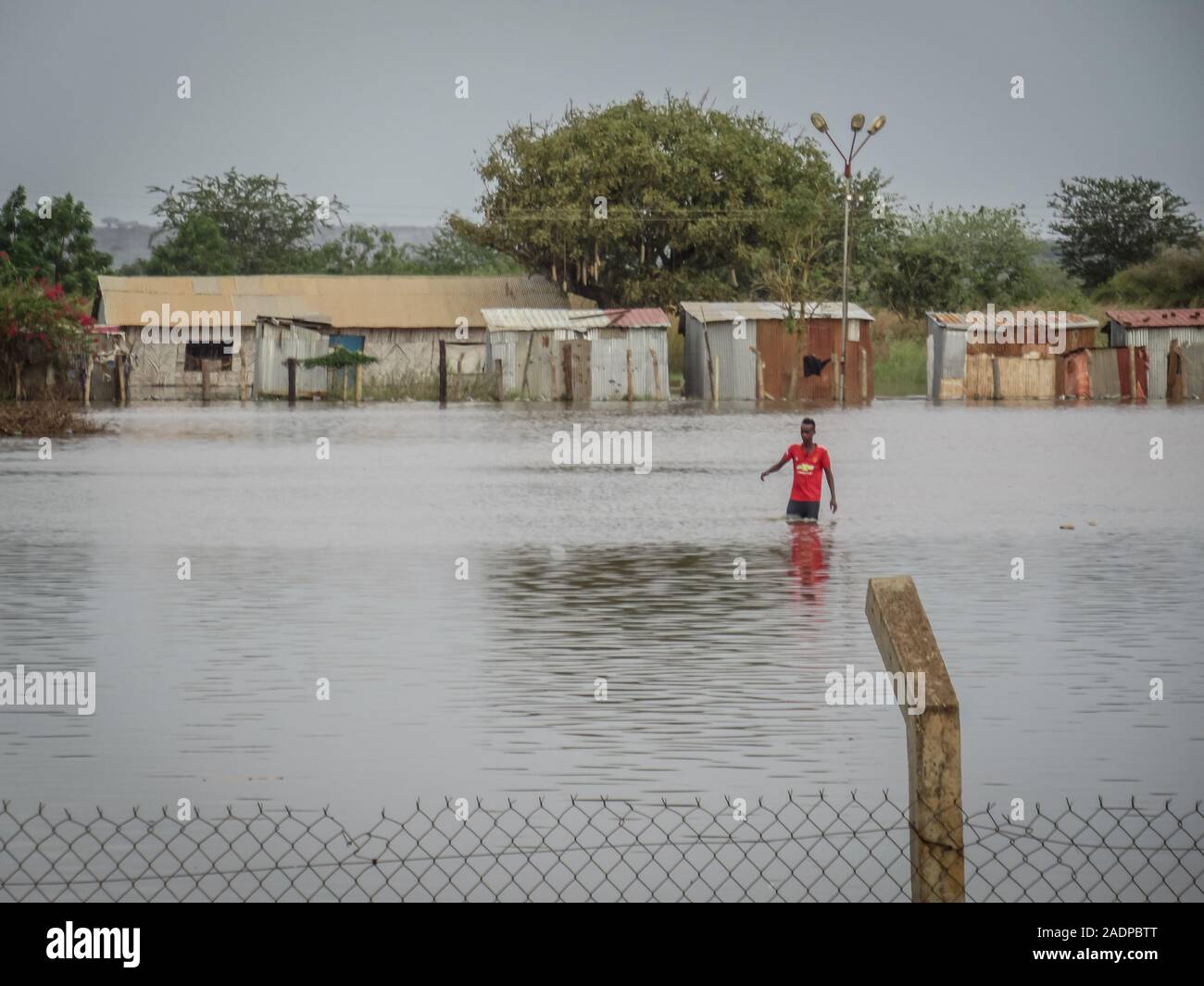 Elegu border hi-res stock photography and images - Alamy
