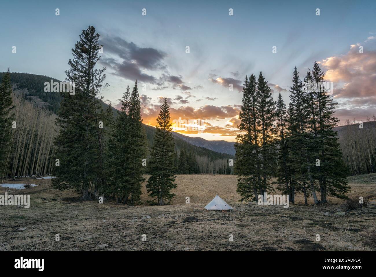 Camping in the Pecos Wilderness Stock Photo - Alamy