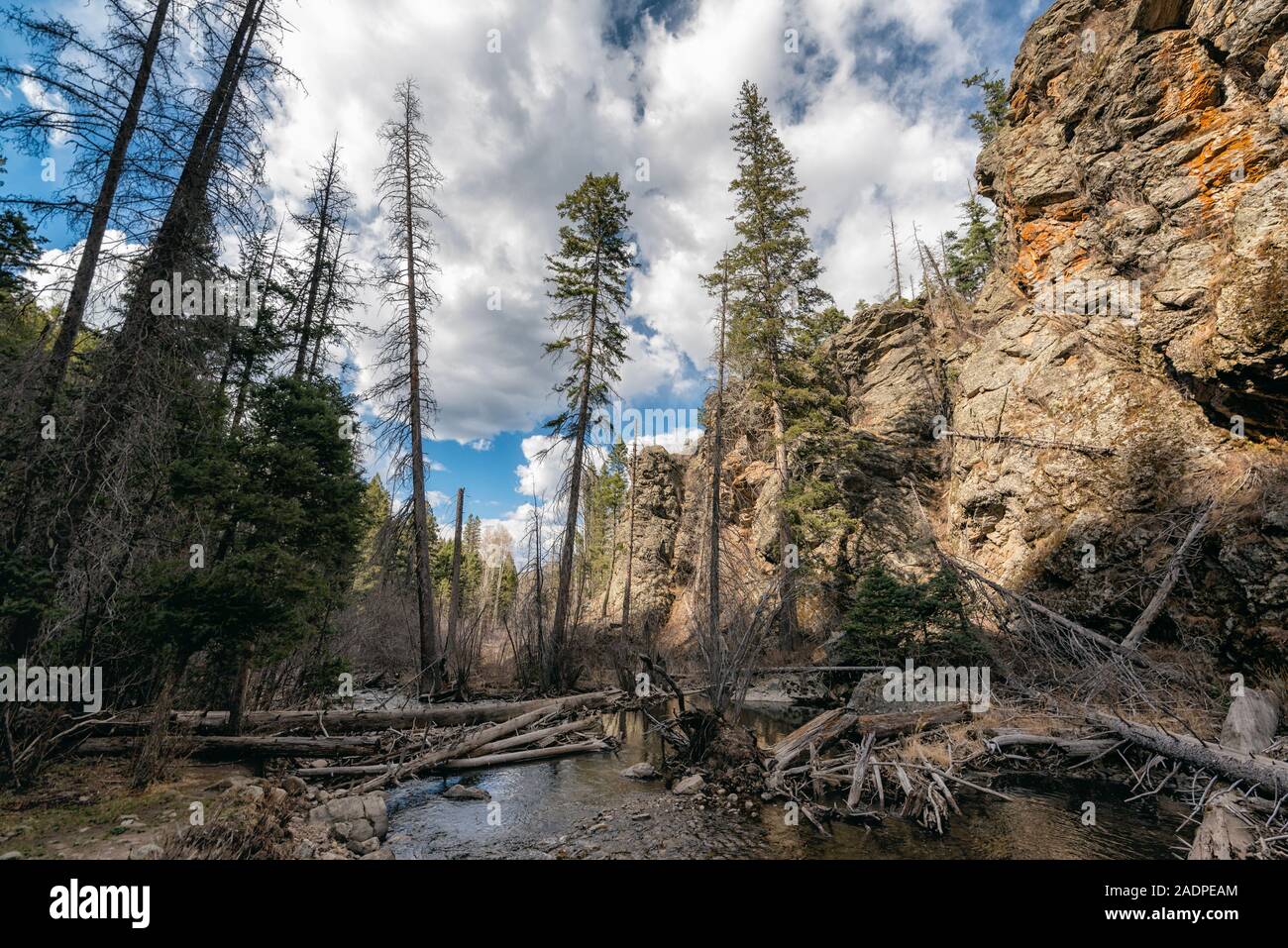 Landscape in the Pecos Wilderness Stock Photo - Alamy