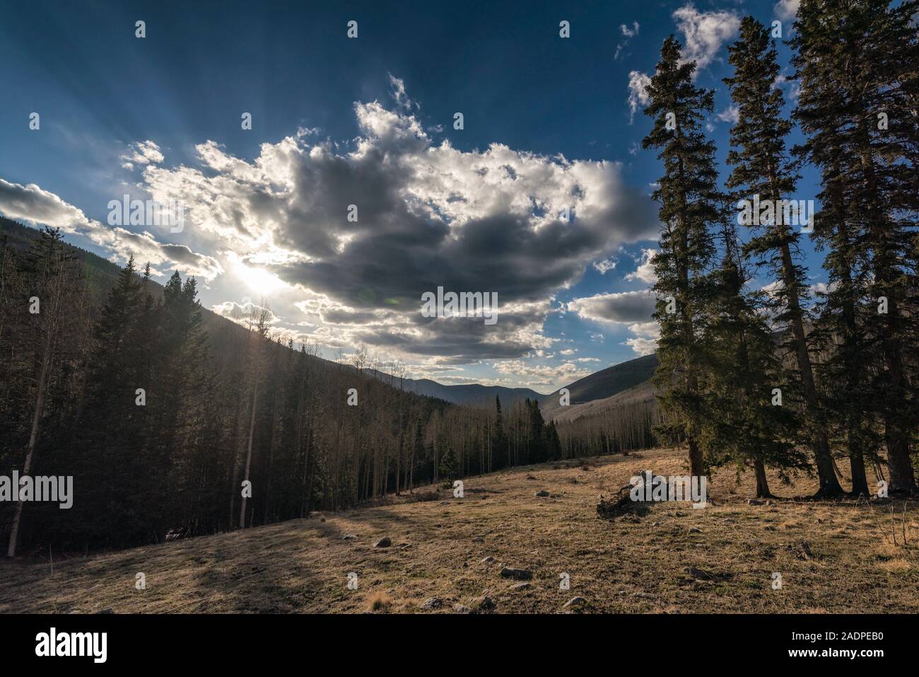 Landscape in the Pecos Wilderness Stock Photo - Alamy